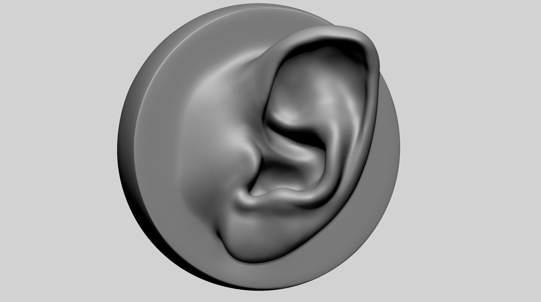 ArtStation - Ear Model with Different Types | Resources