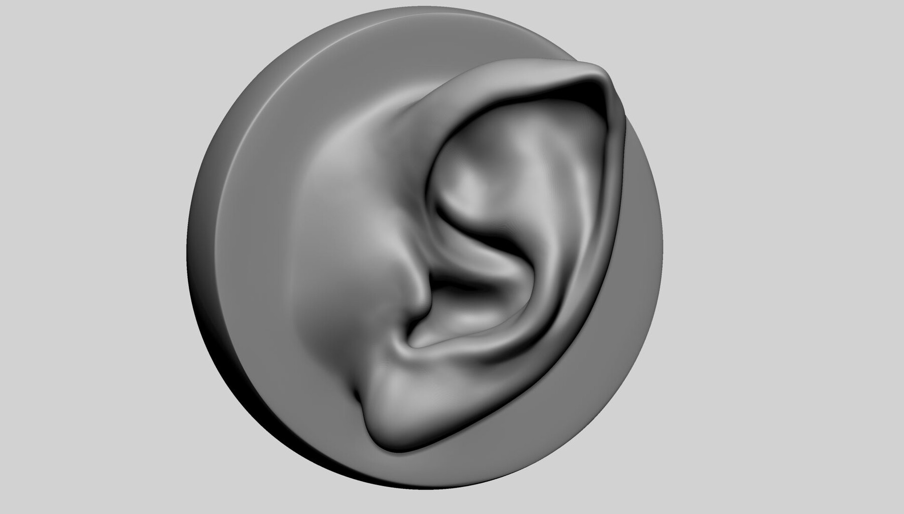 ArtStation - Ear Model with Different Types | Resources