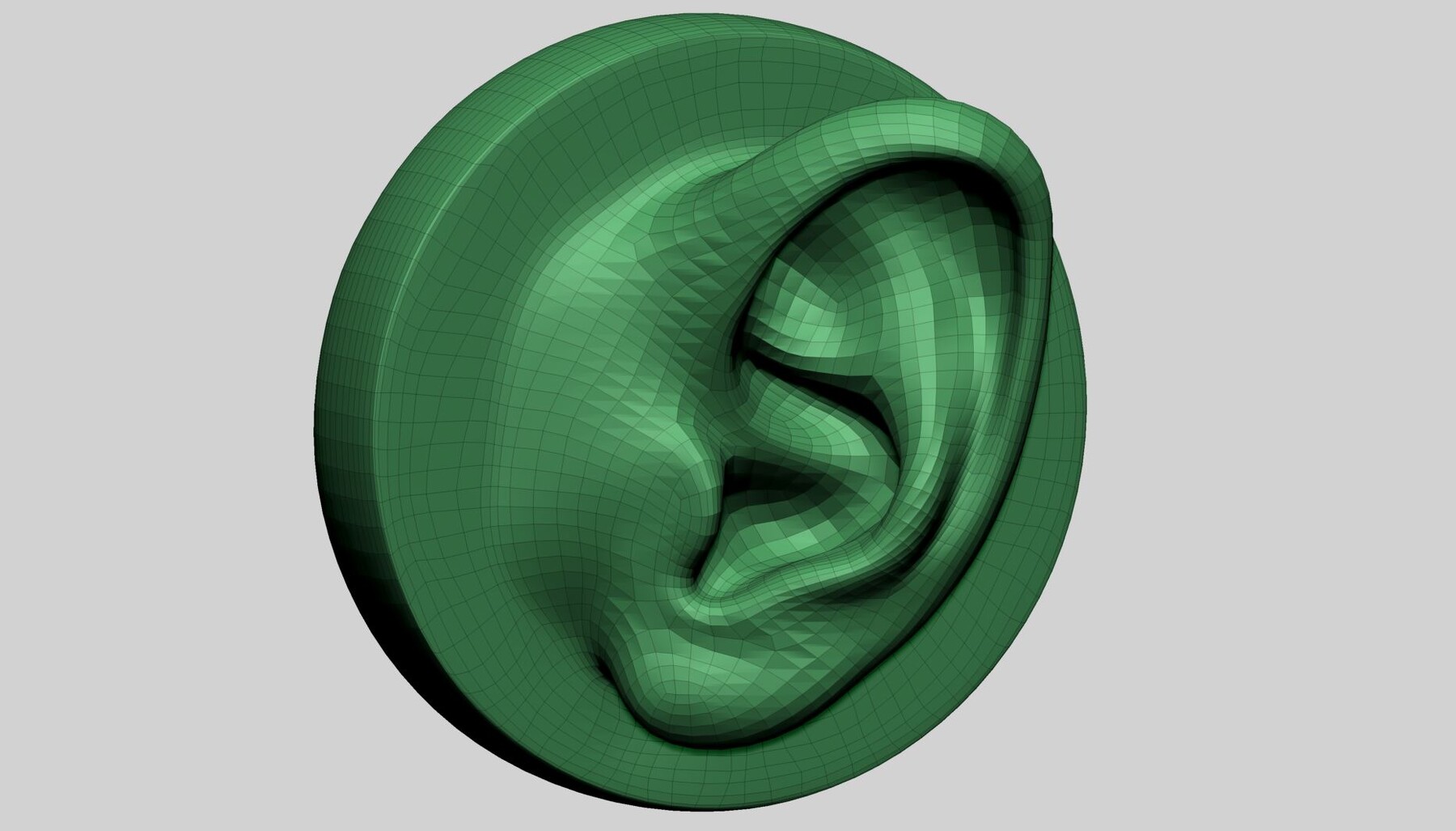 ArtStation - Ear Model with Different Types | Resources