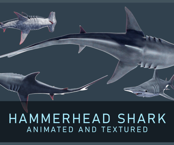 ArtStation - Animated Hammerhead Shark | Game Assets
