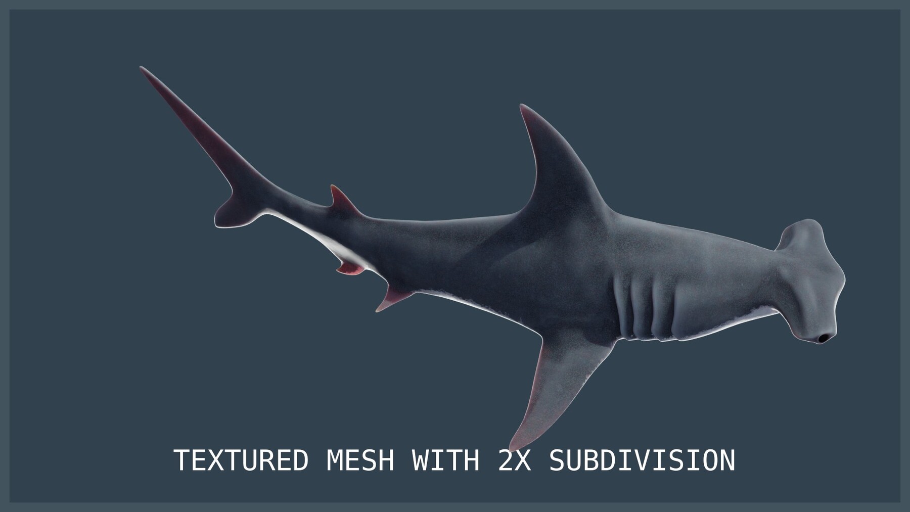 ArtStation - Animated Hammerhead Shark | Game Assets