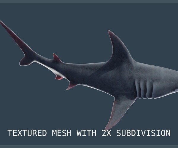 ArtStation - Animated Hammerhead Shark | Game Assets