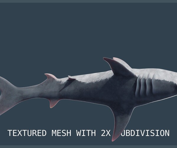 ArtStation - Animated Hammerhead Shark | Game Assets