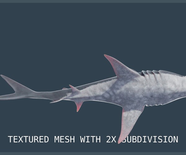 ArtStation - Animated Hammerhead Shark | Game Assets