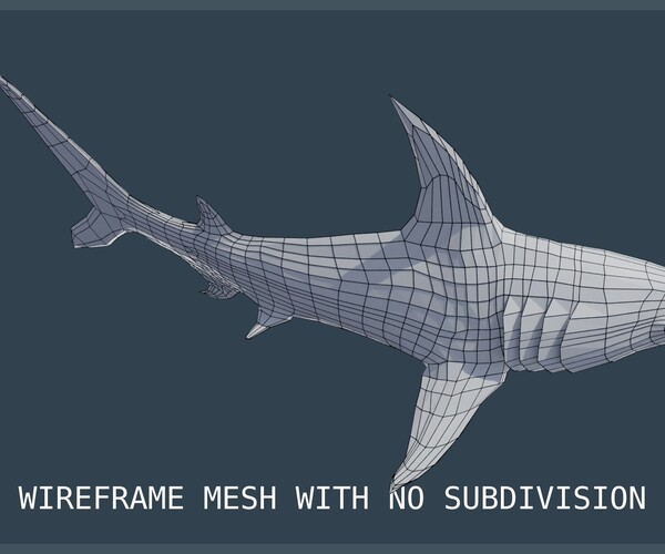 ArtStation - Animated Hammerhead Shark | Game Assets