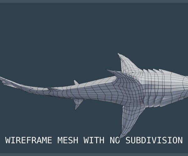 ArtStation - Animated Hammerhead Shark | Game Assets