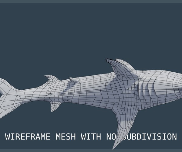 ArtStation - Animated Hammerhead Shark | Game Assets