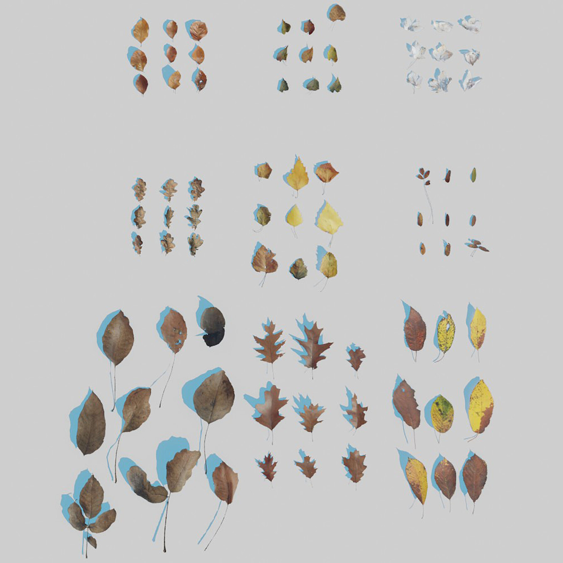 ArtStation - Dry Leaves Pack | Resources