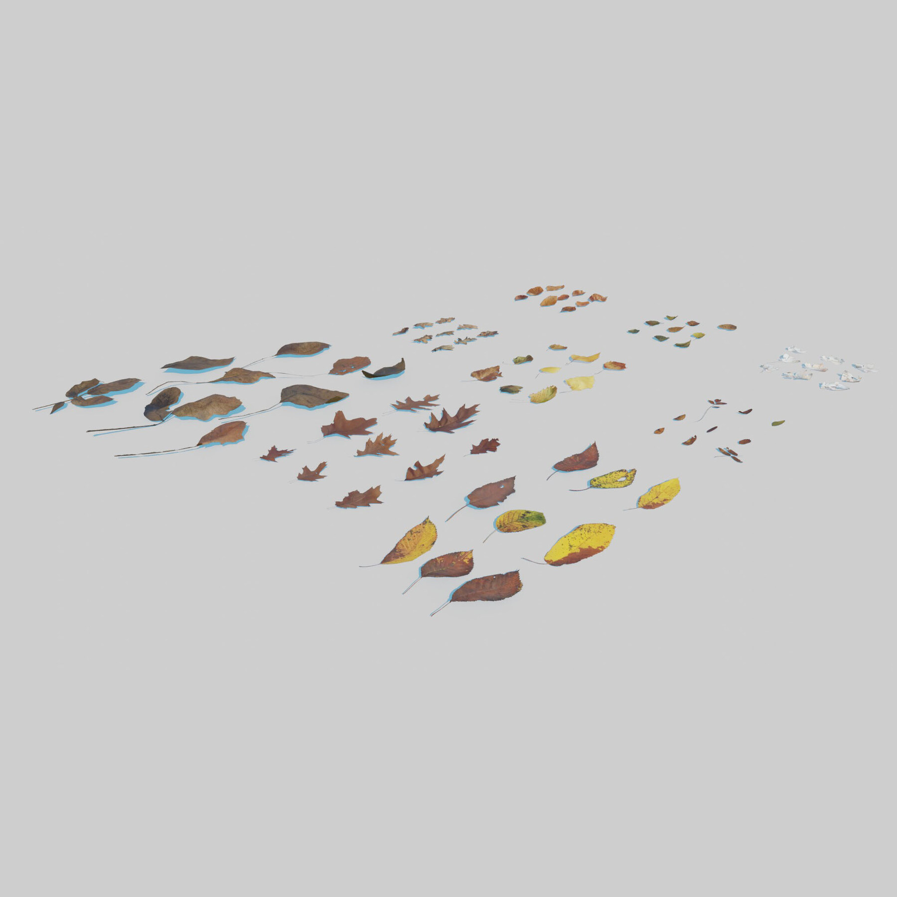 ArtStation - Dry Leaves Pack | Resources