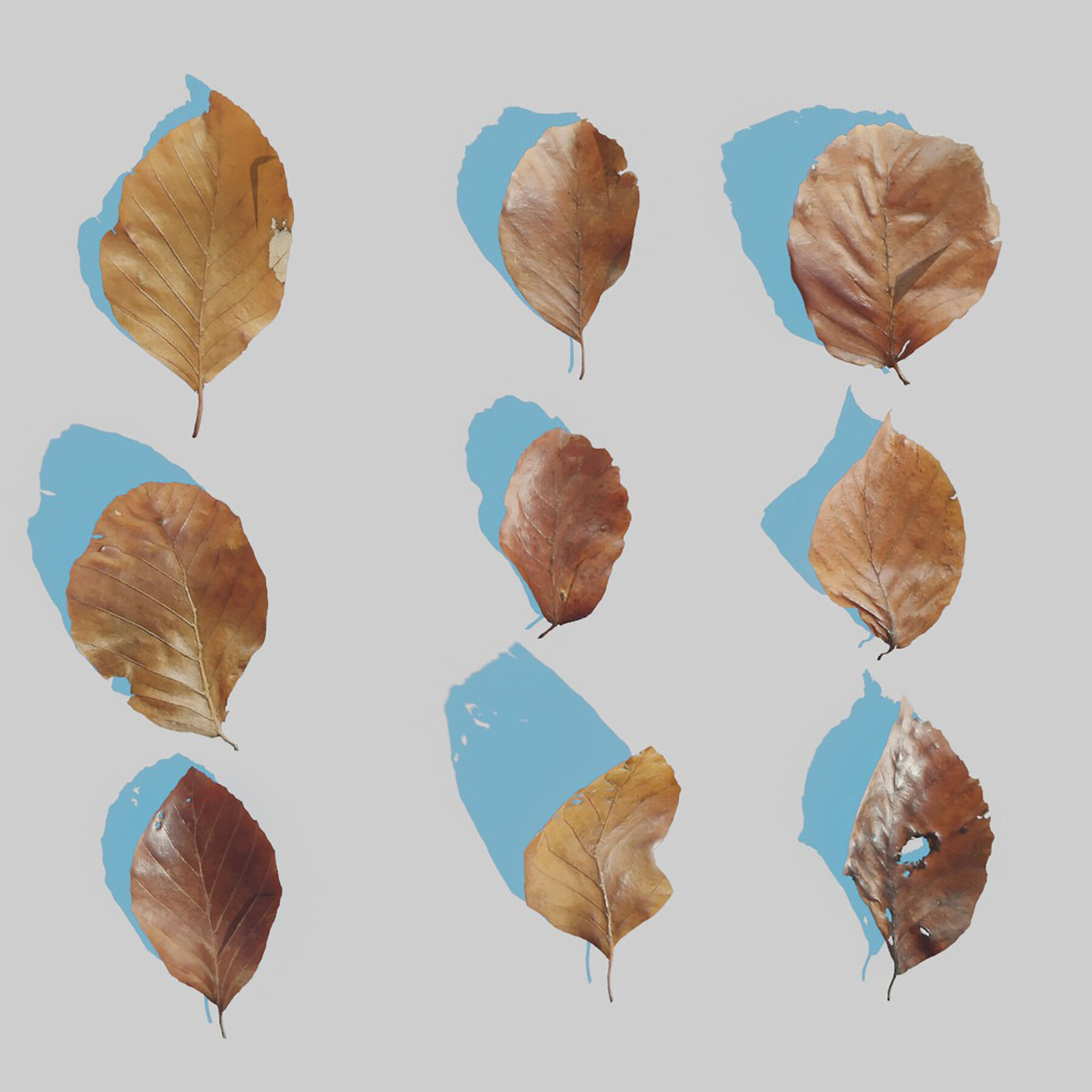 ArtStation - Dry Leaves Pack | Resources