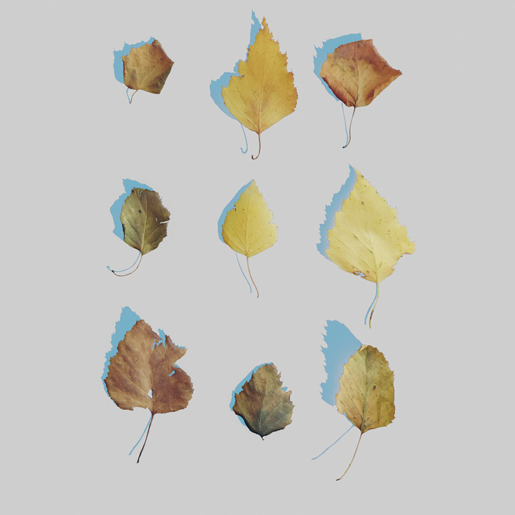 ArtStation - Dry Leaves Pack | Resources