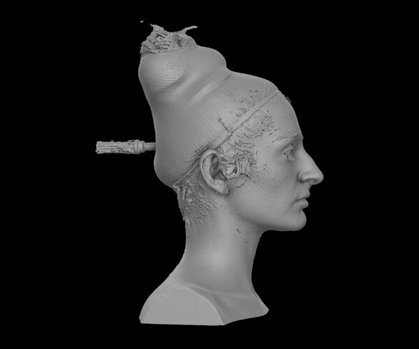 ArtStation - Raw Head Scan | Waja | Resources