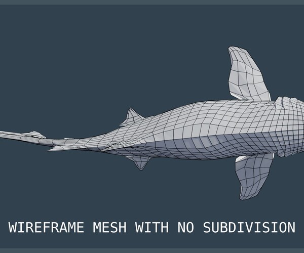 ArtStation - Animated Nurse Shark | Game Assets