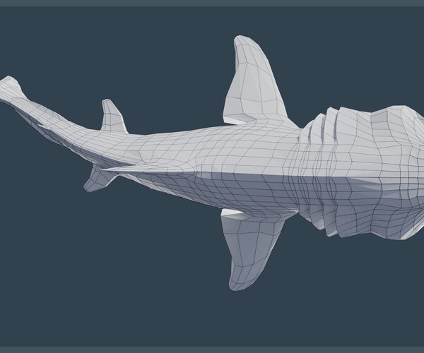 ArtStation - Animated Basking Shark | Game Assets