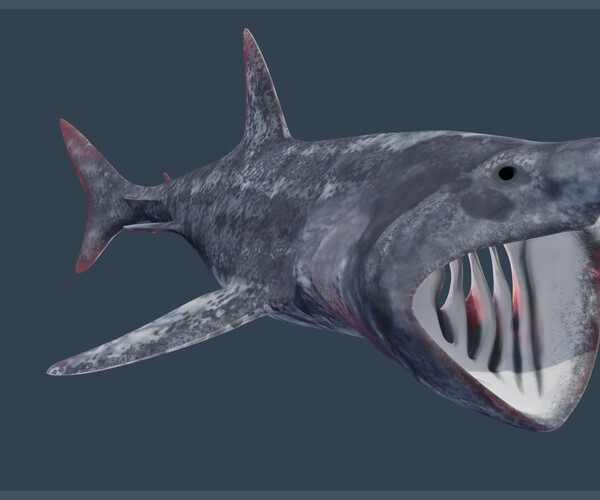 ArtStation - Animated Basking Shark | Game Assets