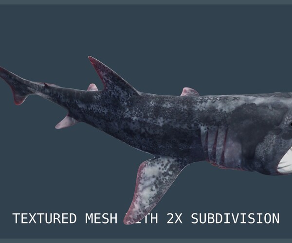 ArtStation - Animated Basking Shark | Game Assets