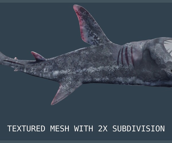 ArtStation - Animated Basking Shark | Game Assets