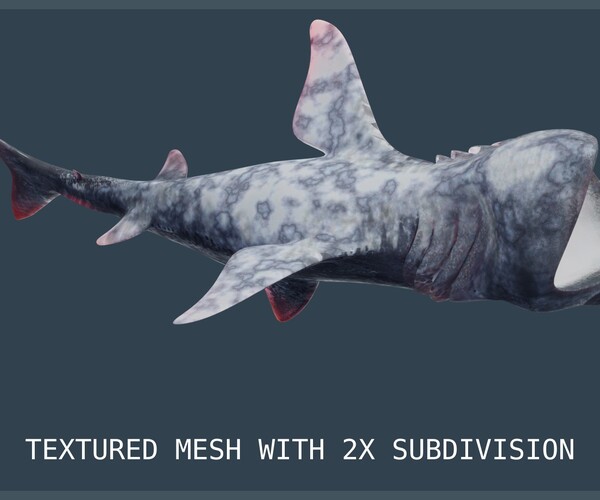 ArtStation - Animated Basking Shark | Game Assets