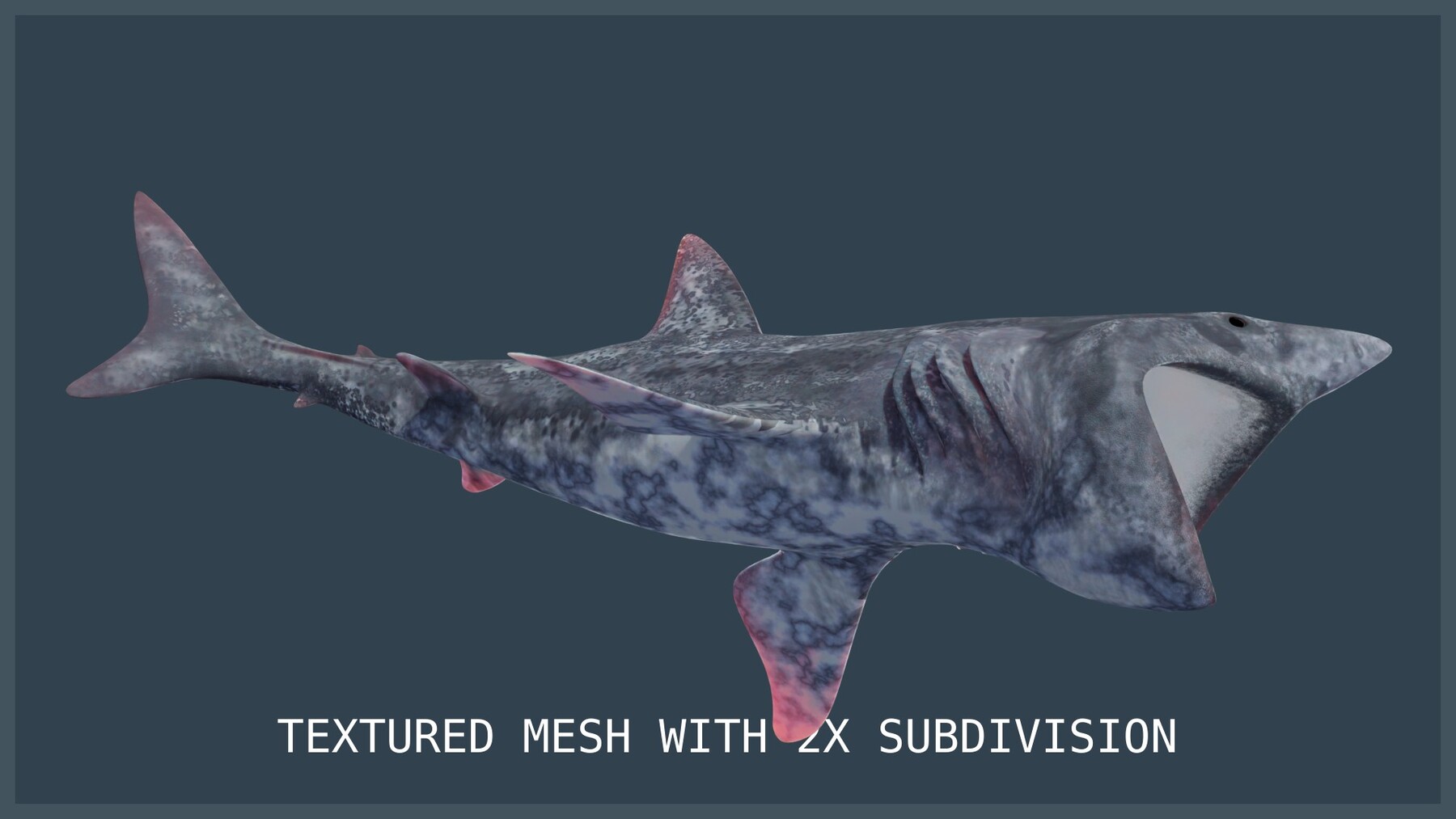 ArtStation - Animated Basking Shark | Game Assets