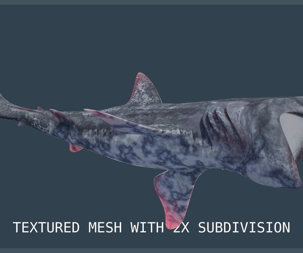 ArtStation - Animated Basking Shark | Game Assets