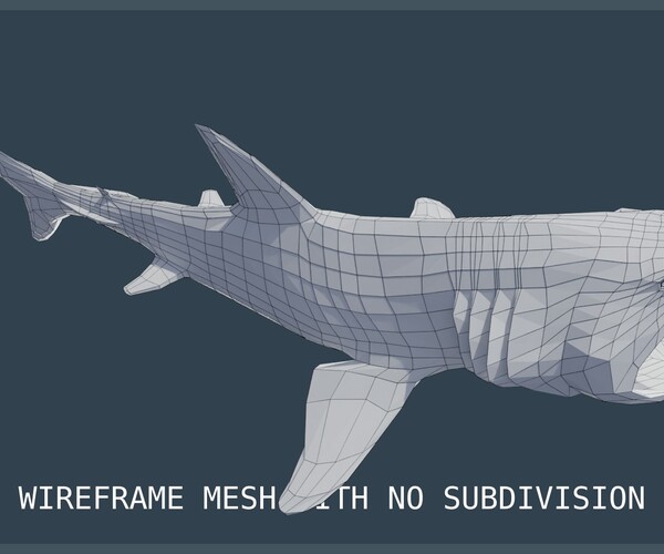 ArtStation - Animated Basking Shark | Game Assets