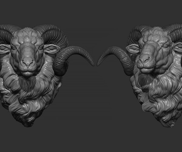 ArtStation - Ram sheep head | Resources