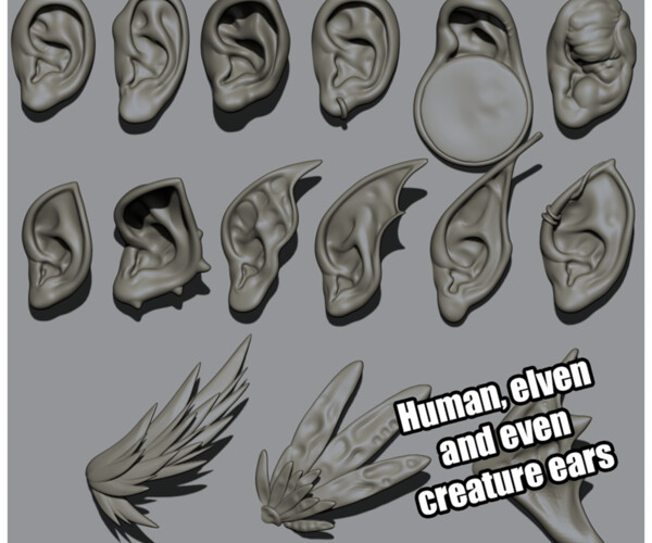 ArtStation - Human and elf ears set | Brushes
