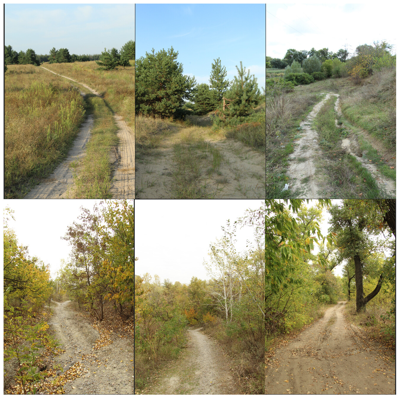 ArtStation - Dirt roads pack 3 | Resources