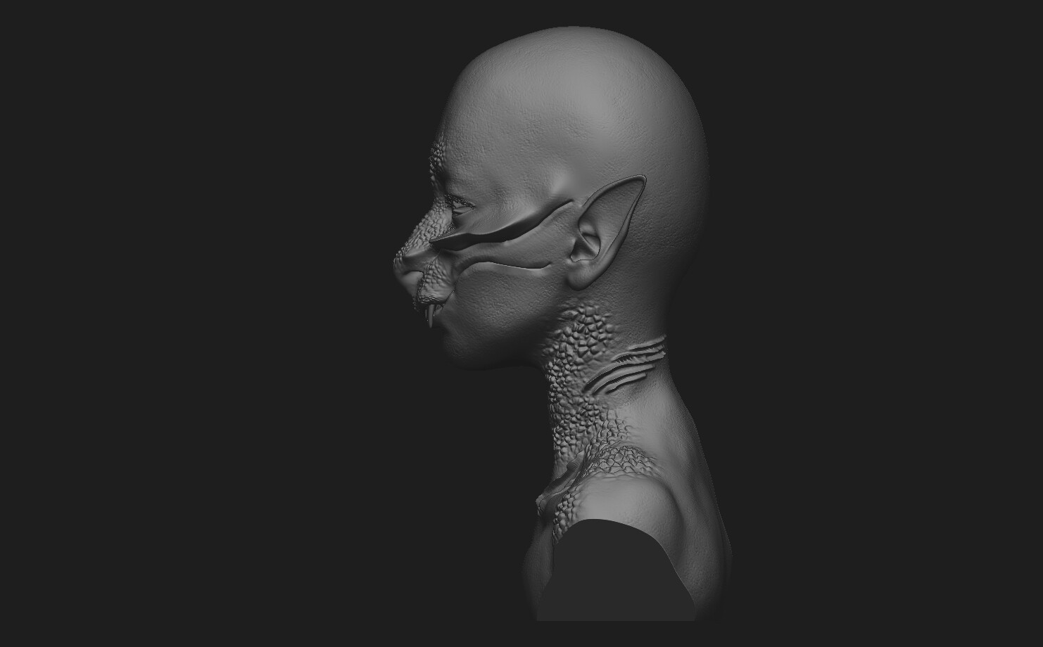 ArtStation - Creature 3D Model Amphibian | Resources