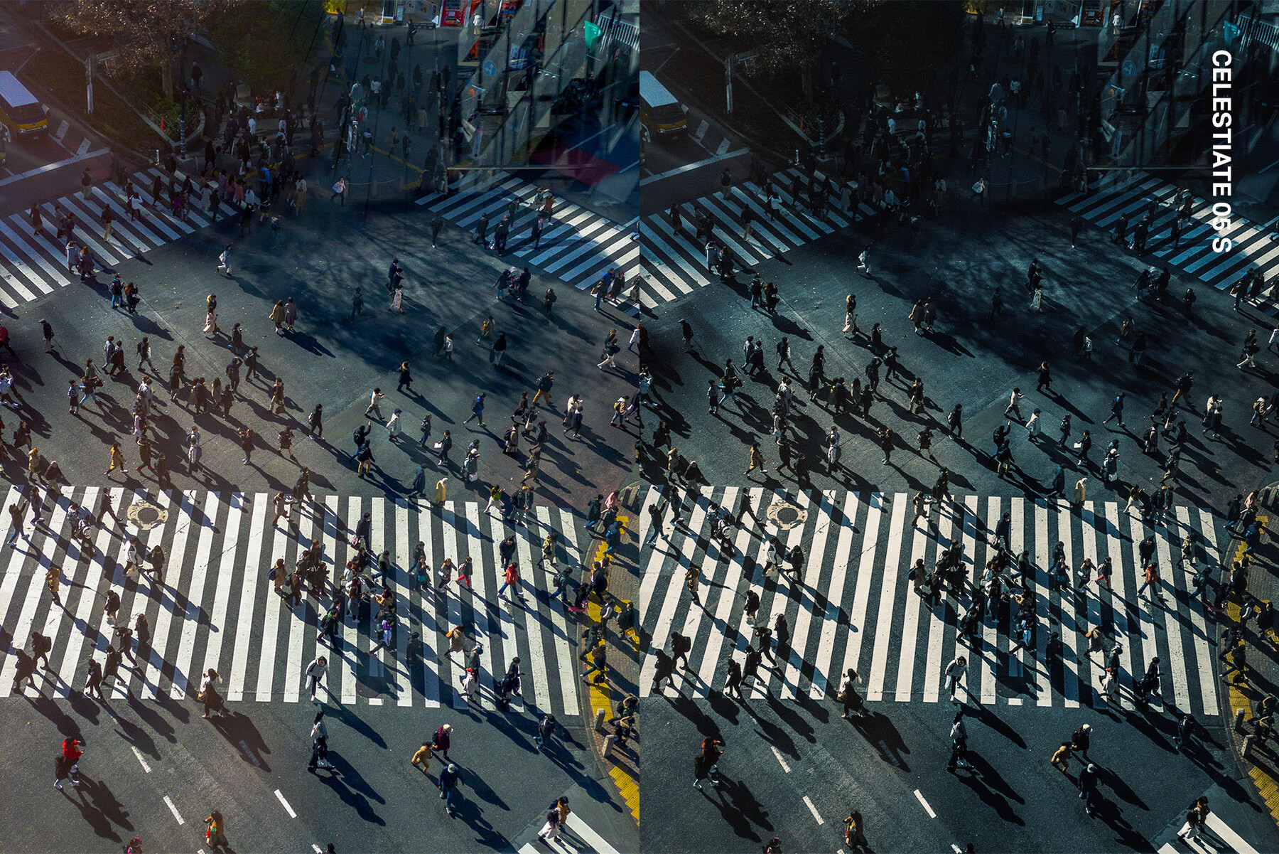 ArtStation - 25 Film Flashback Lightroom Presets and LUTs | Artworks