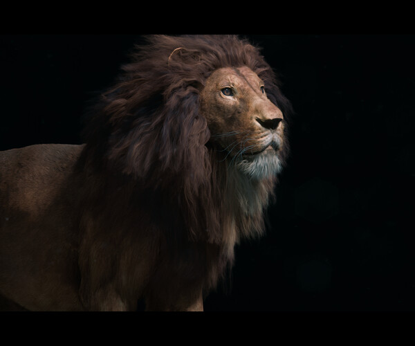 ArtStation - Lion Blender 4K model with fur model | Game Assets