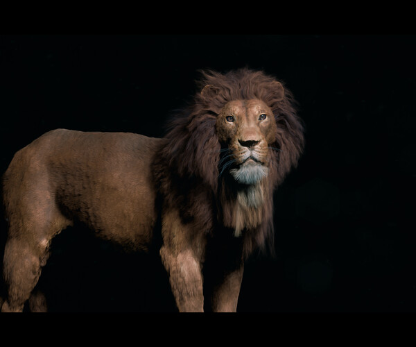 ArtStation - Lion Blender 4K model with fur model | Game Assets