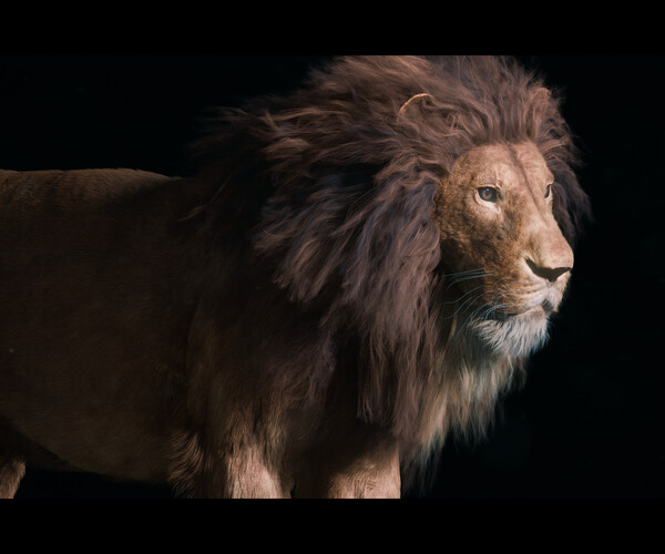 ArtStation - Lion Blender 4K model with fur model | Game Assets