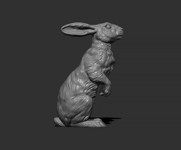 ArtStation - Hare sitting | Resources