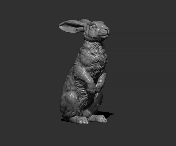 ArtStation - Hare sitting | Resources