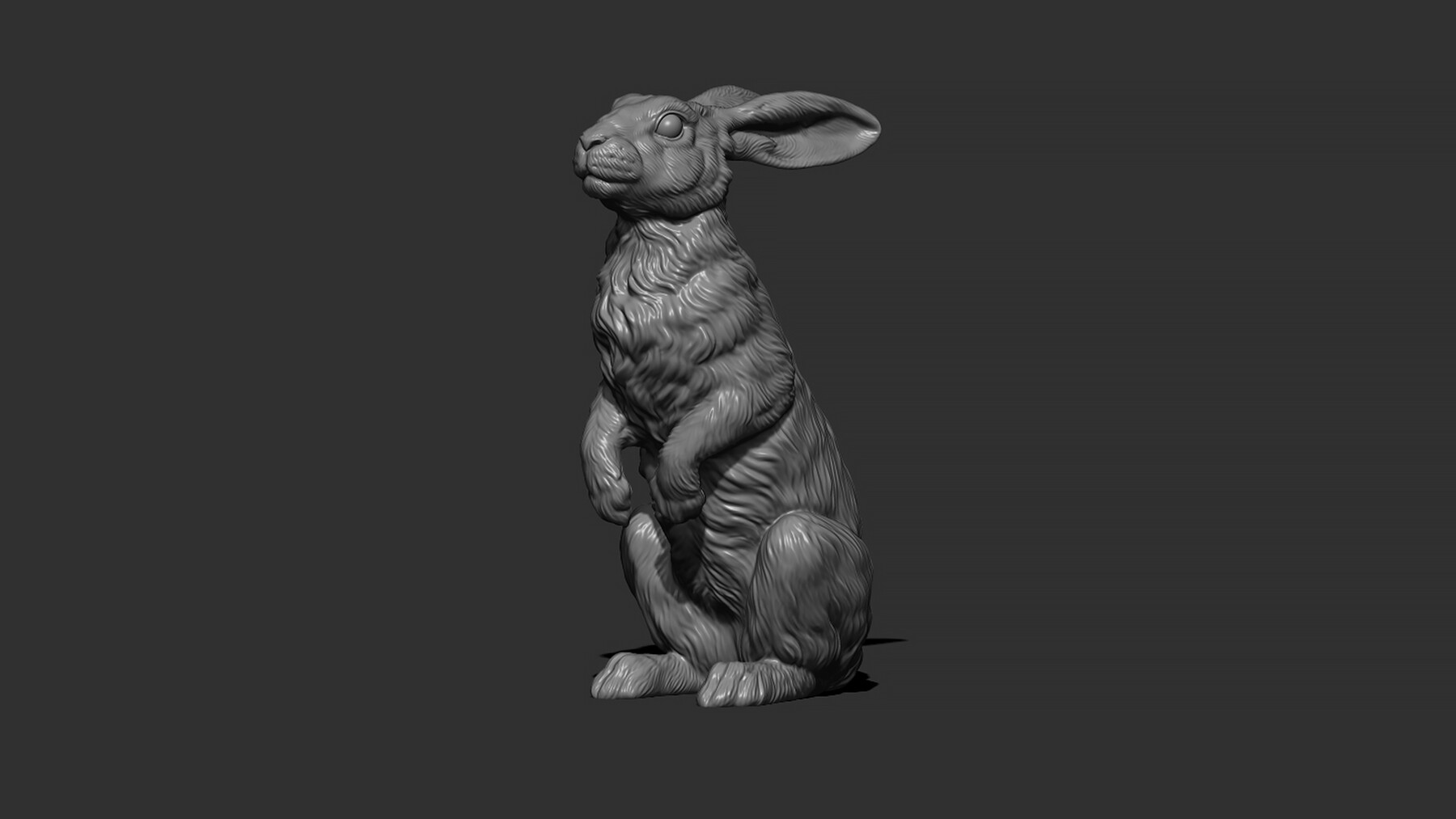 ArtStation - Hare sitting | Resources