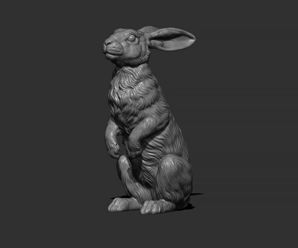 ArtStation - Hare sitting | Resources