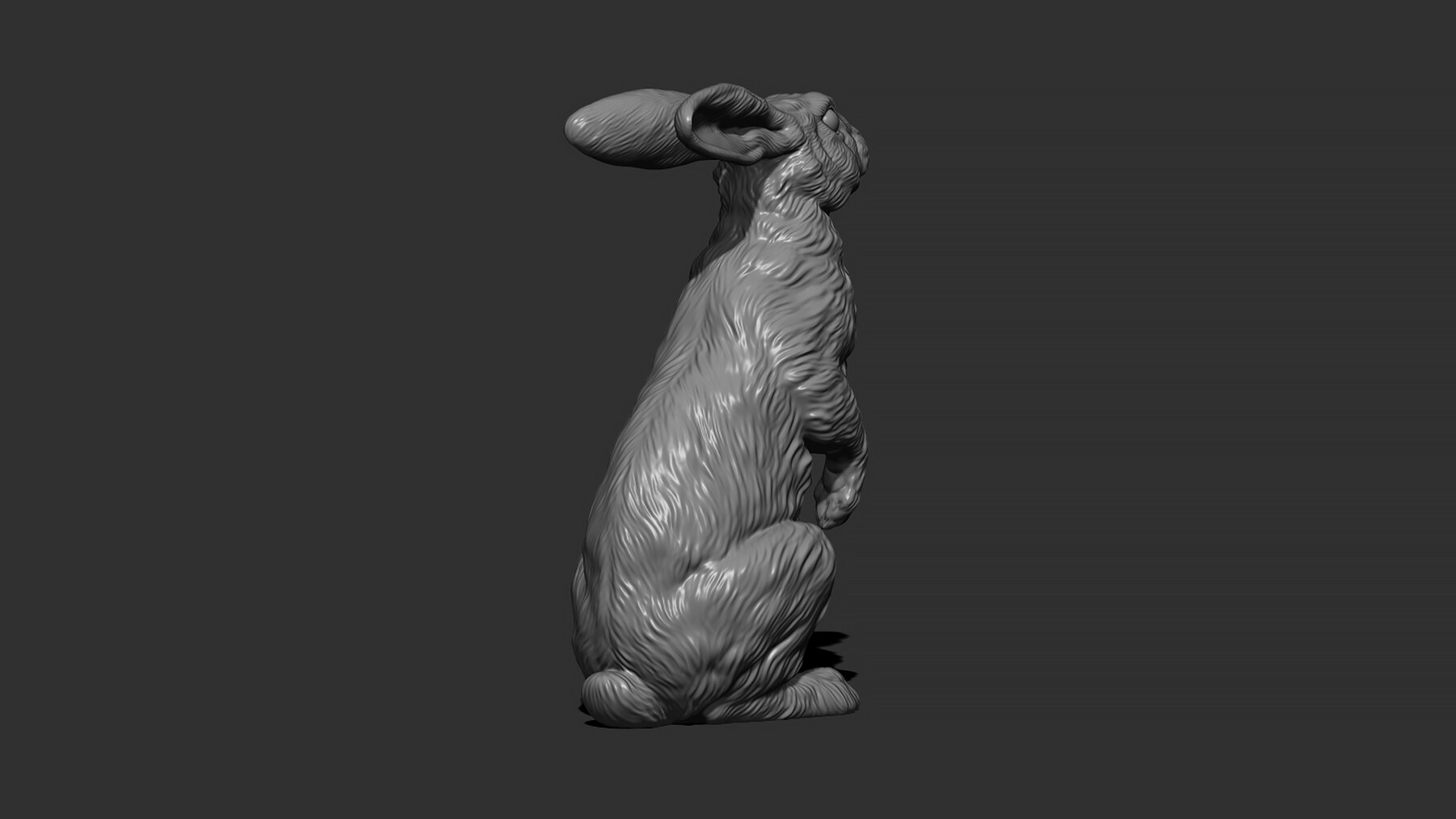 ArtStation - Hare sitting | Resources