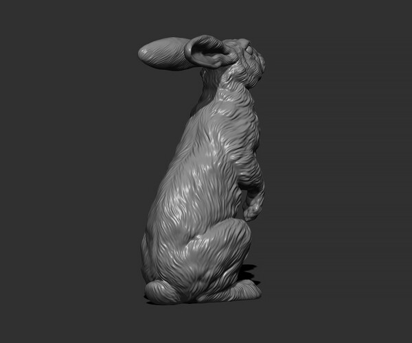 ArtStation - Hare sitting | Resources