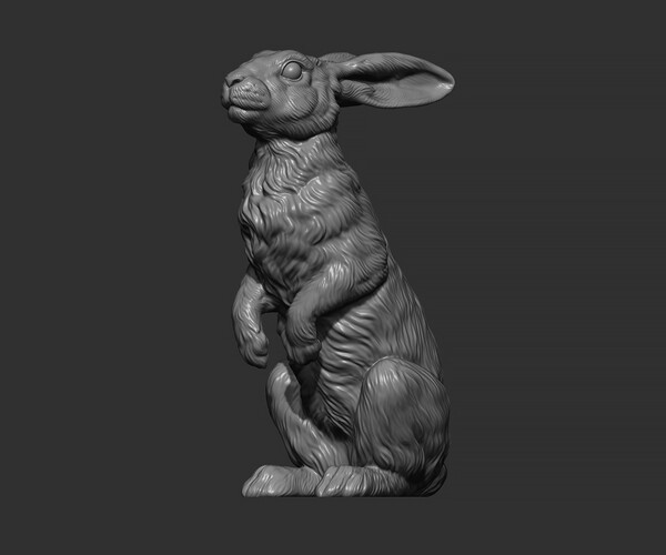 ArtStation - Hare sitting | Resources