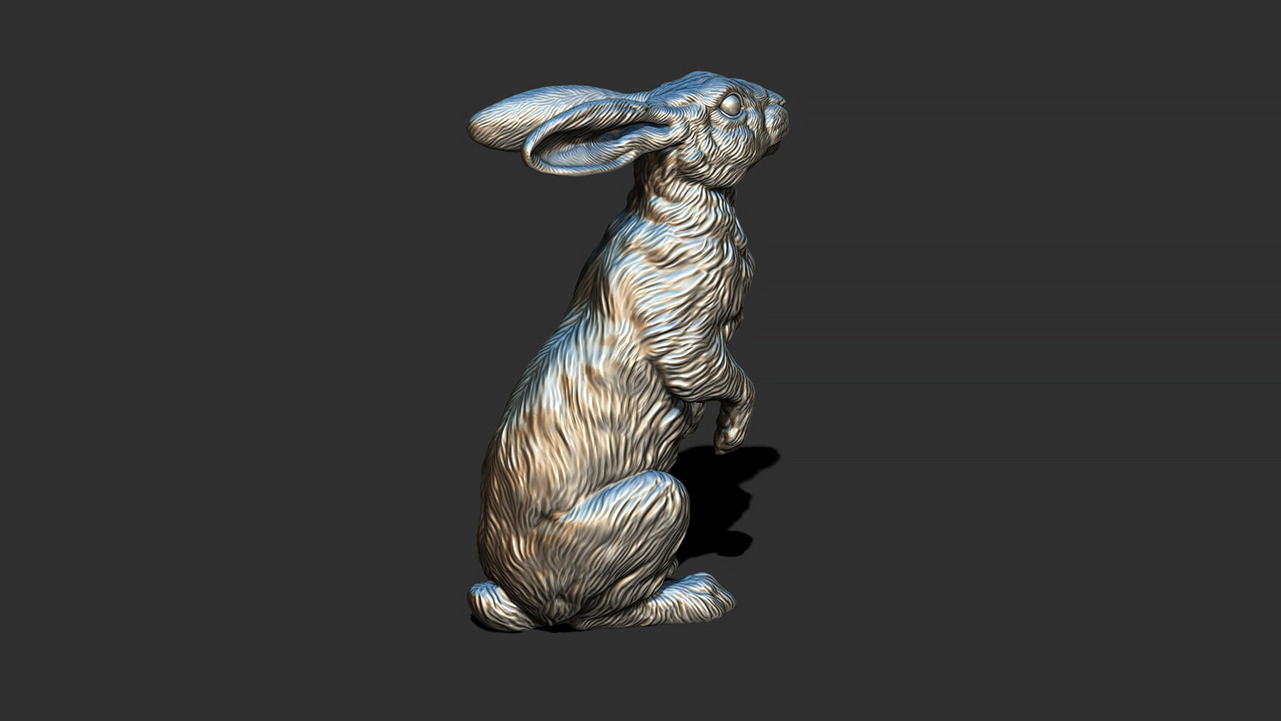 ArtStation - Hare sitting | Resources