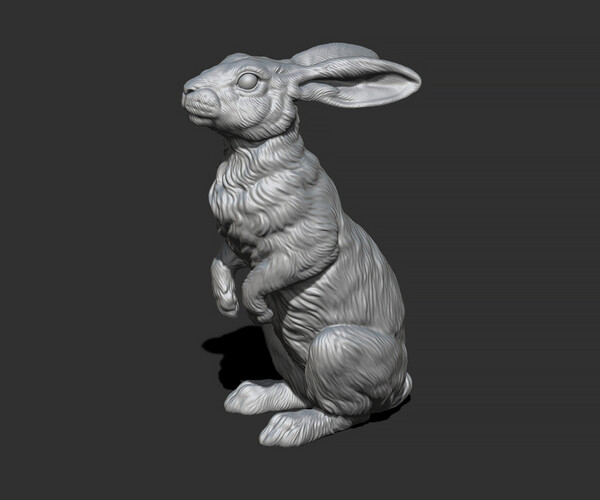 ArtStation - Hare sitting | Resources