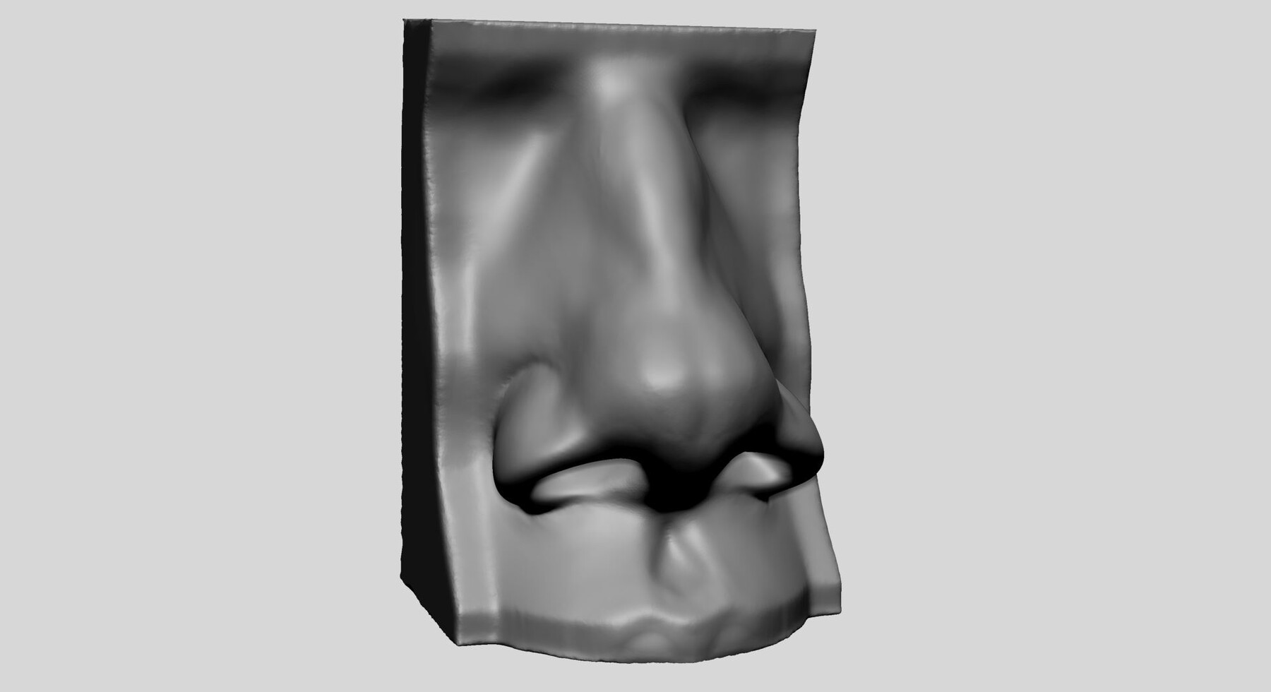 ArtStation - Nose Model with Different Types | Resources