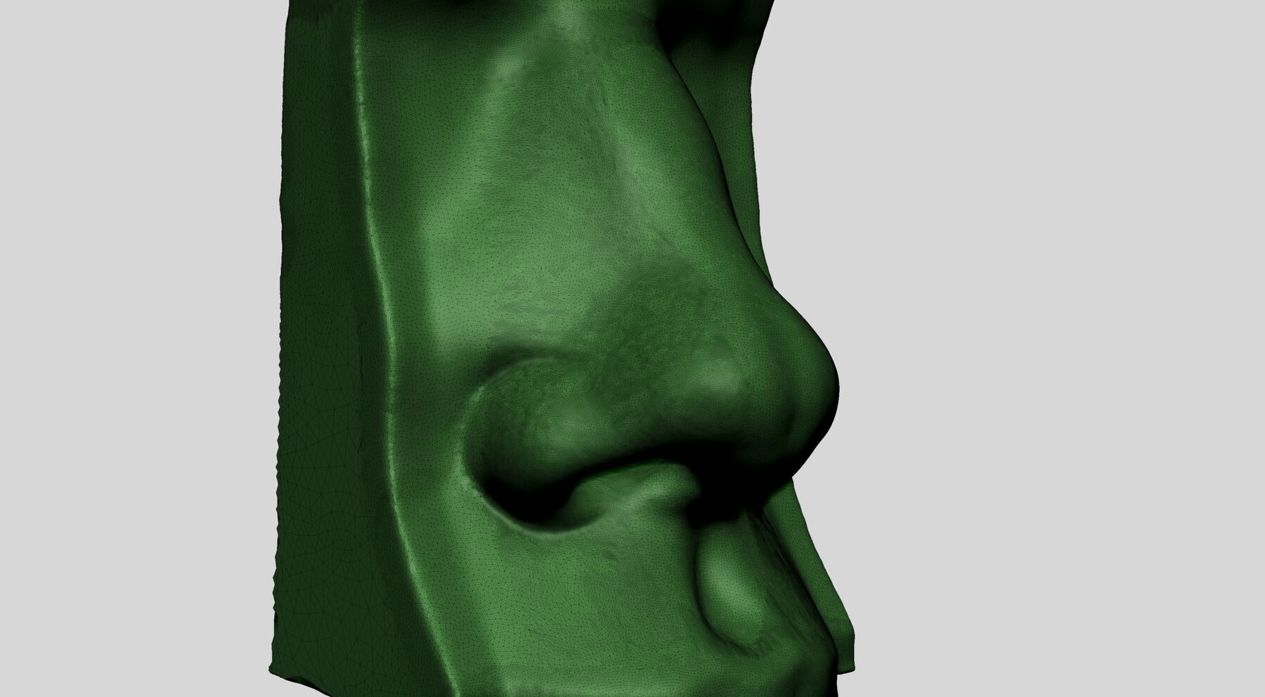 ArtStation - Nose Model with Different Types | Resources
