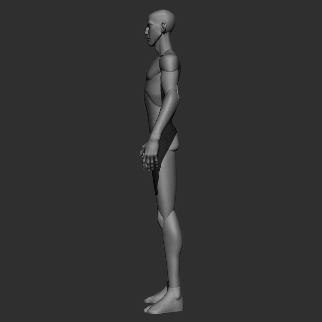 ArtStation - Skinny Basemesh | Resources