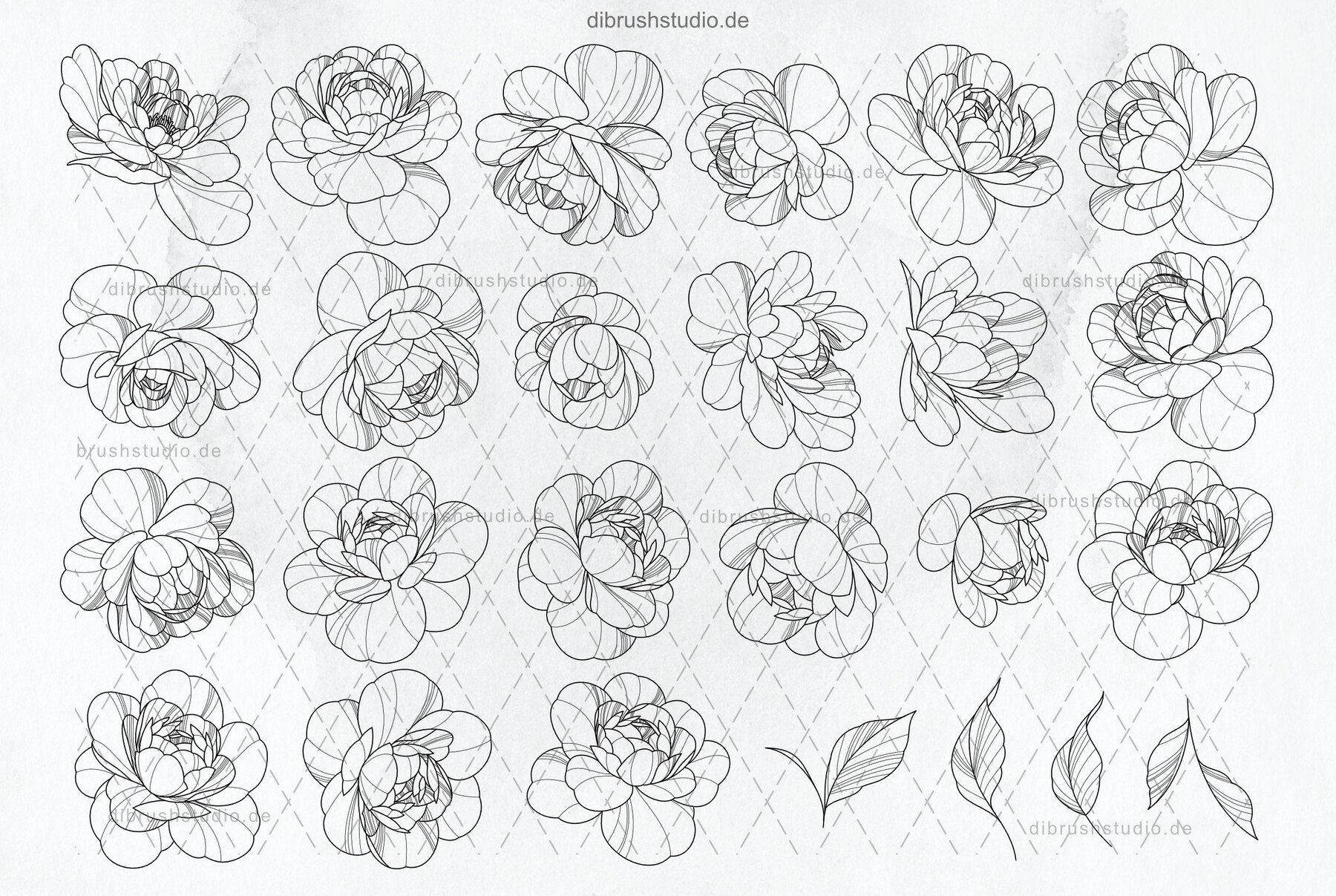 ArtStation - Procreate - Peony Tattoo Stamps VOL. 2 | Brushes