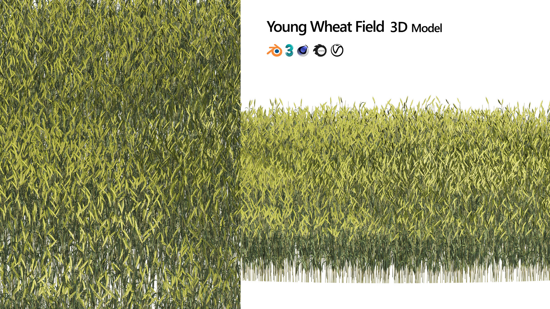 ArtStation - Young Wheat Field | Game Assets