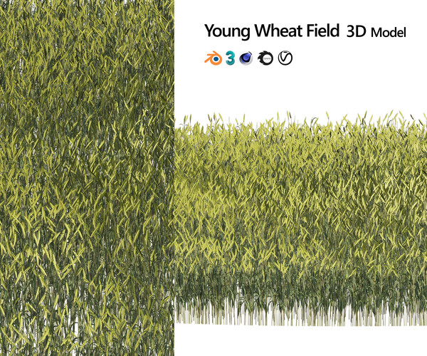 ArtStation - Young Wheat Field | Game Assets