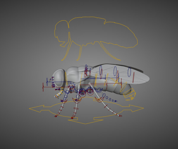 ArtStation - Housefly Animated | VFX Grace | Game Assets