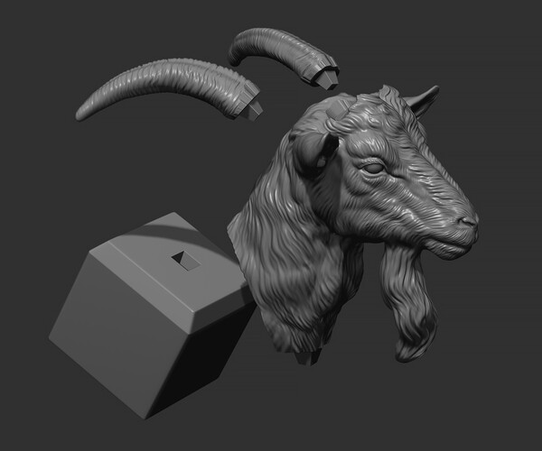 ArtStation - Goat head bust | Resources